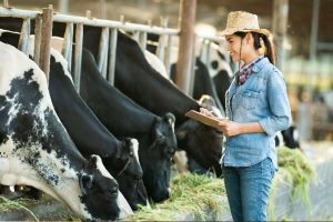 National Farmworker Jobs Program - UMOS